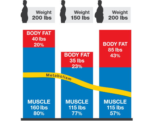 GOLO Weight Loss Program | GOLO For Life Recipes | GOLO